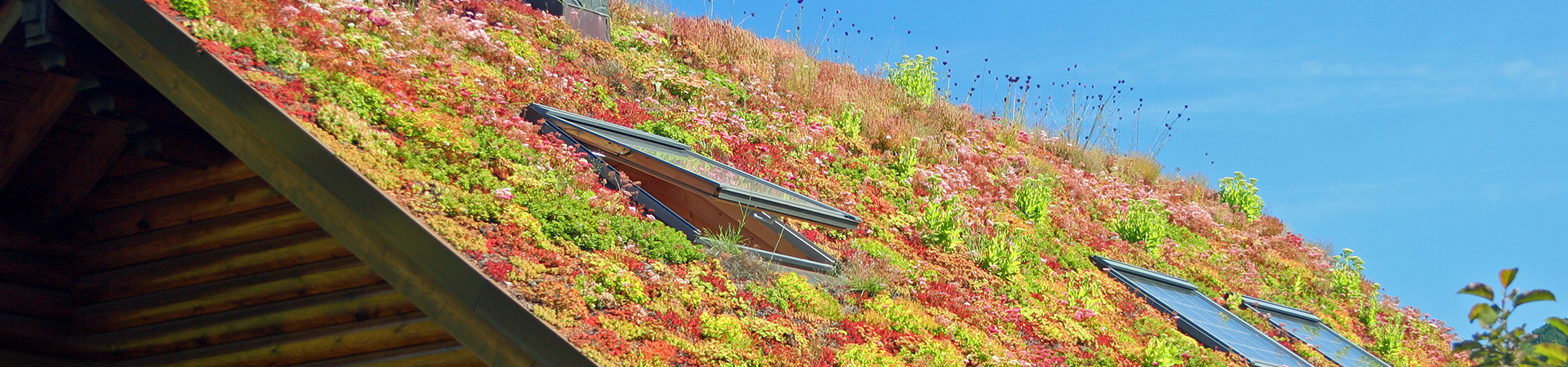 Wat is de meest duurzame dakbedekking? - Energievakbeurs.nl